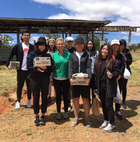 Pick-Your-Own | Ballinaclash